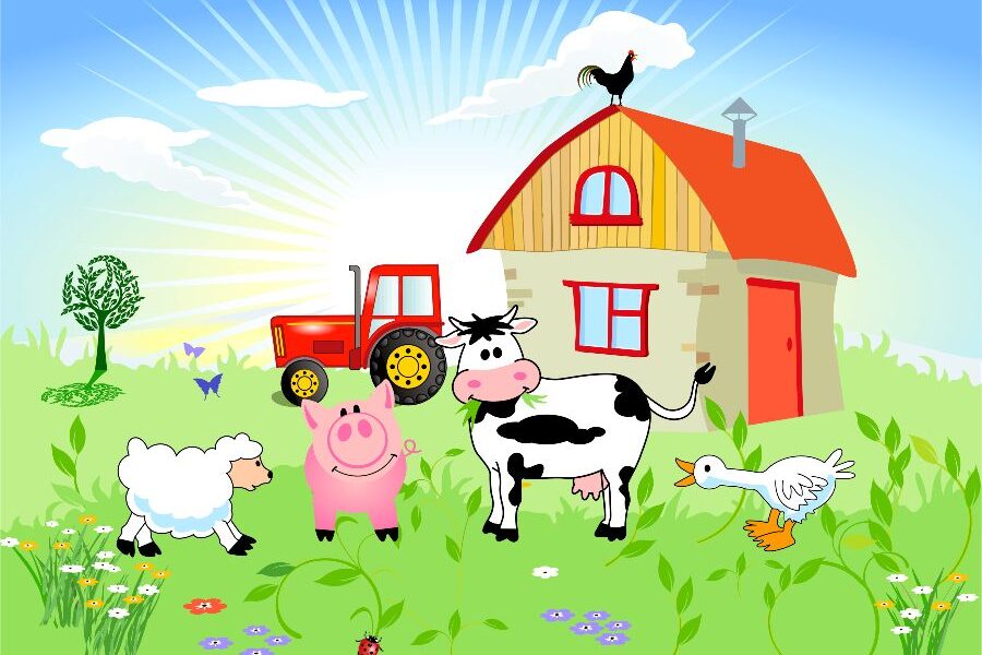 Farm To Table Family Lessons from a Storybook Cow - Fajar Magazine