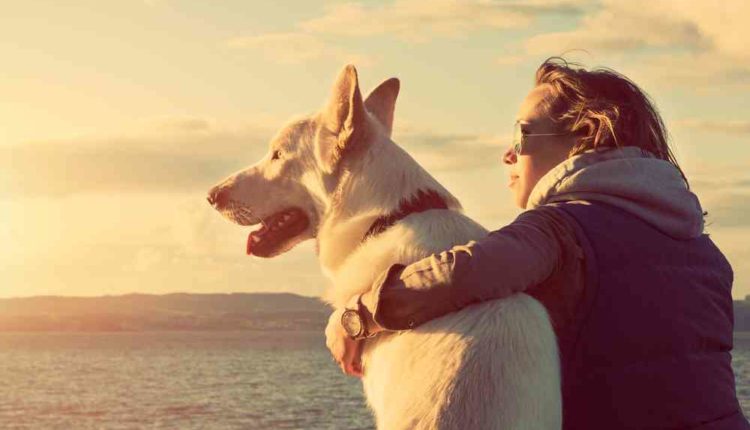 Why-Are-Dogs-So-Loyal-Dog-Loyalty-101 - Fajar Magazine