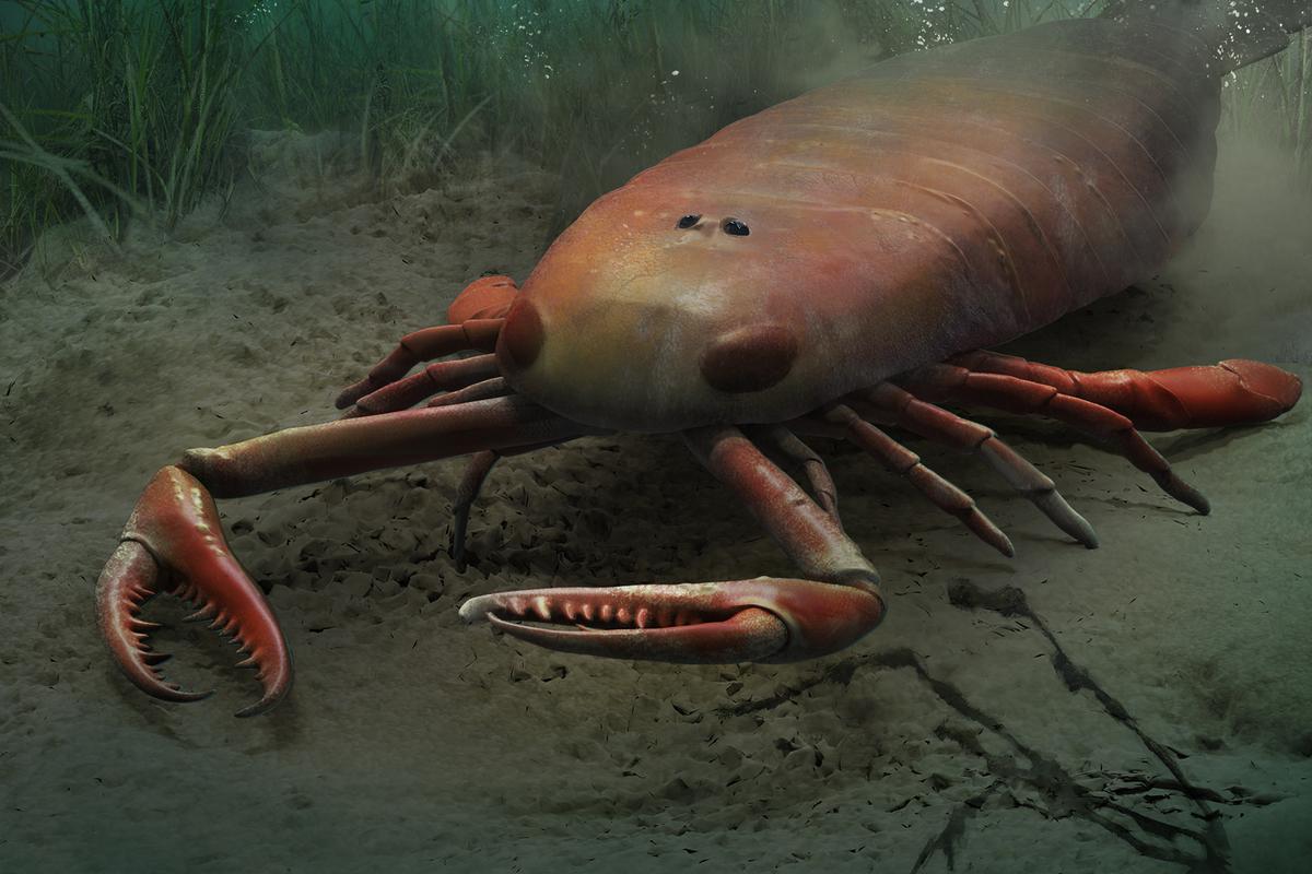 Freaky creatures of the past that are now extinct - Fajar Magazine