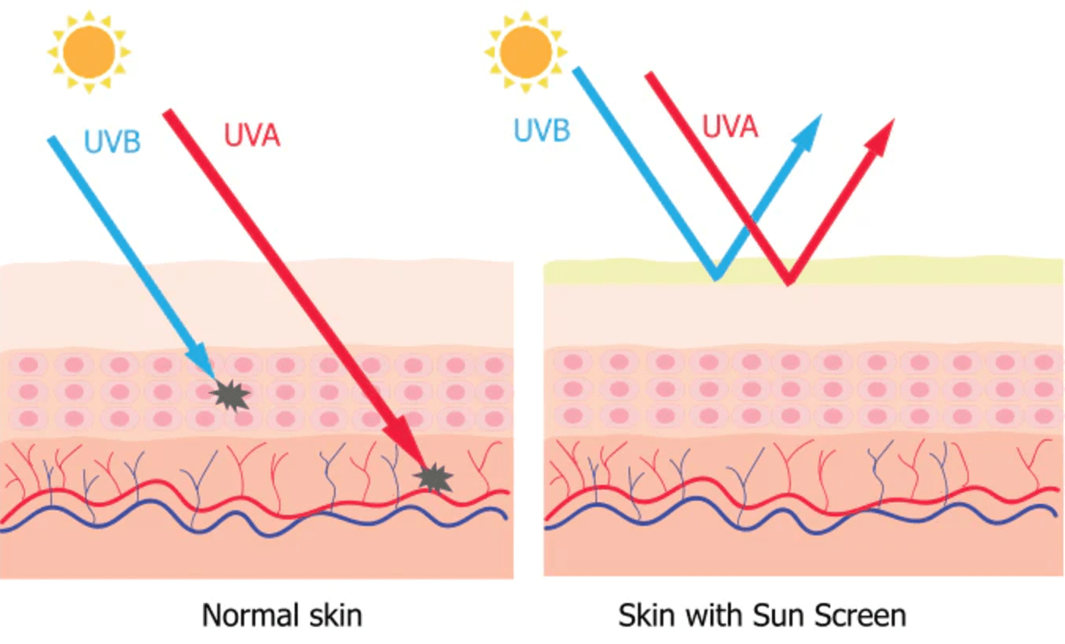 Sunscreen for all skin type-How do you select? - Fajar Magazine