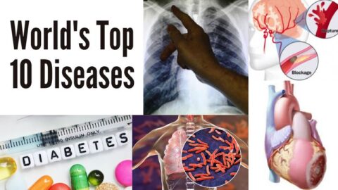 Top 10 Most Dangerous Diseases - Fajar Magazine
