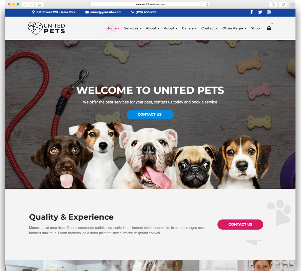 Best Veterinary WordPress Themes - Fajar Magazine